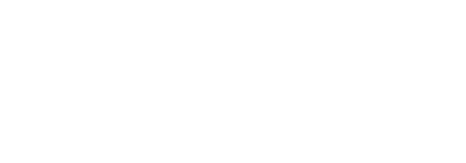 News & Insights – Palindrome Data